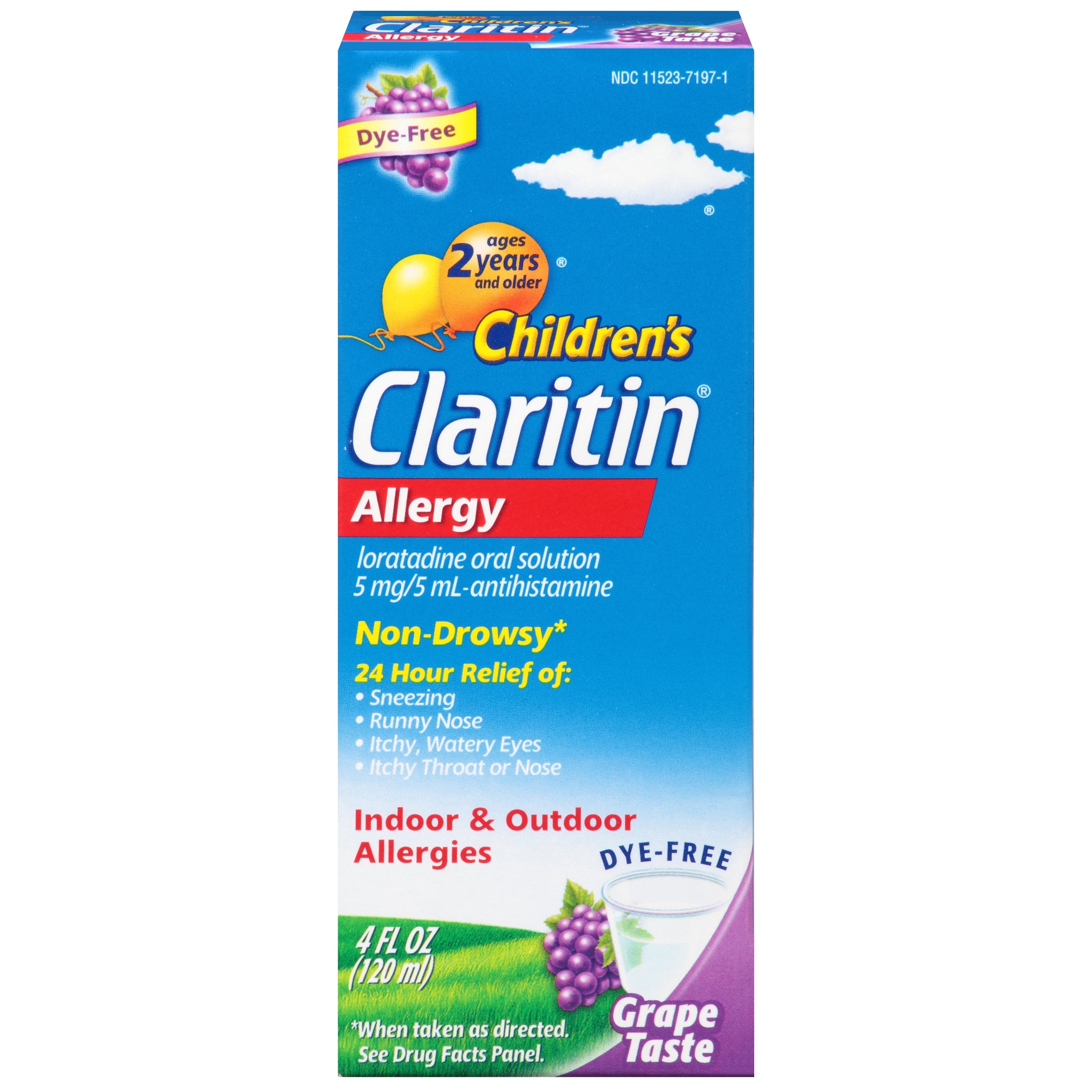 Children’s Claritin® Syrup 24-Hour 4fl. oz. - Sona Shop